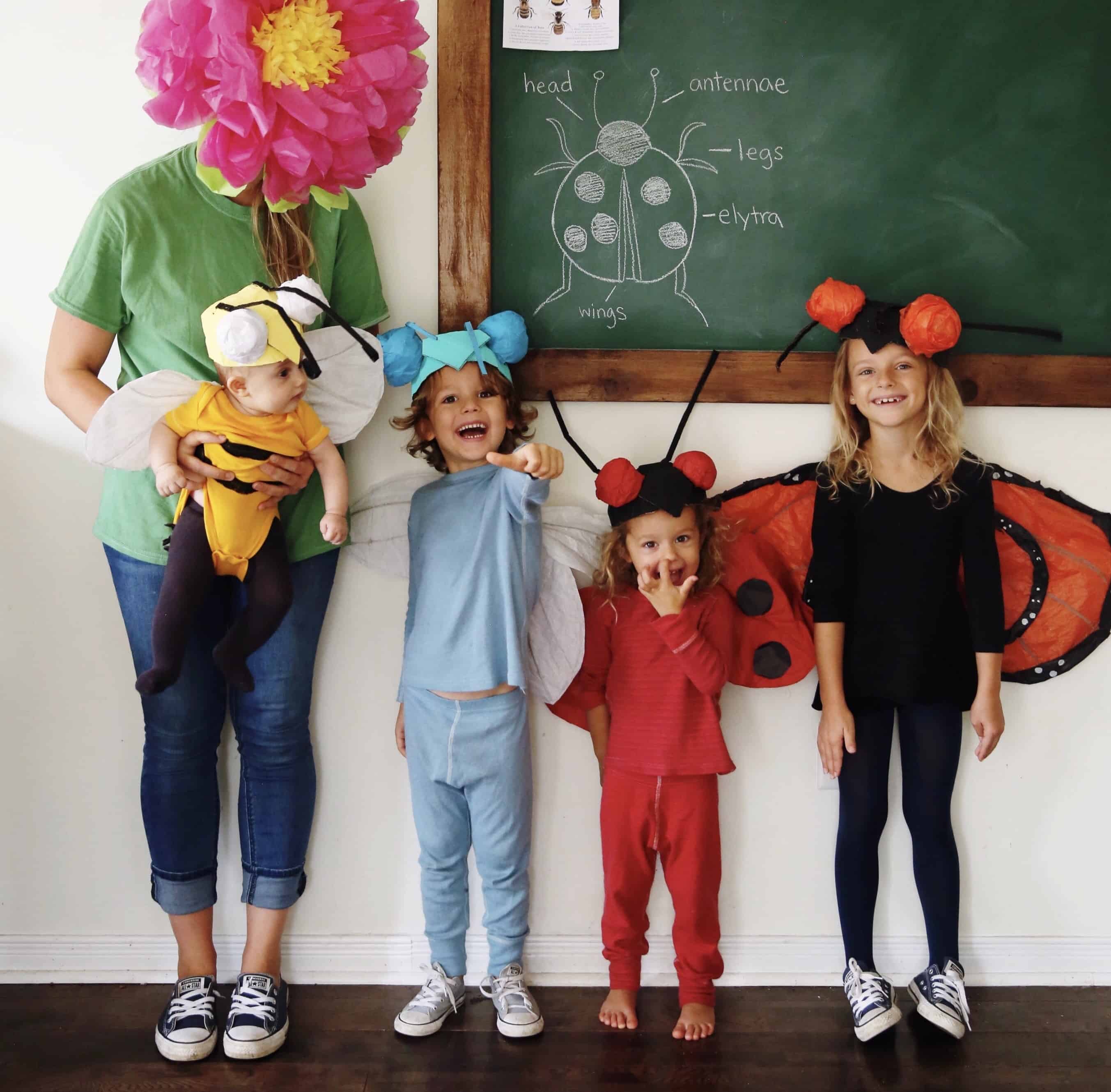 Scarlet All-Purpose Dye – Rit Dye