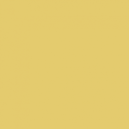 Lemon Drop Yellow – Rit Dye