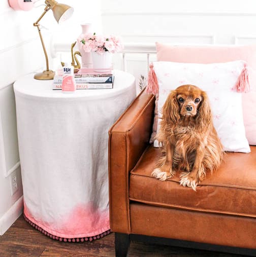 Petal Pink All-Purpose Dye – Rit Dye