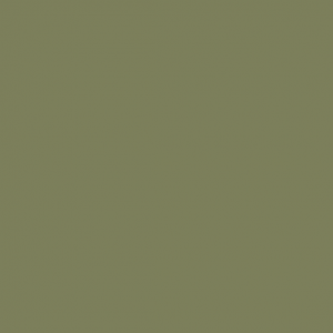 Velvet Moss – Rit Dye