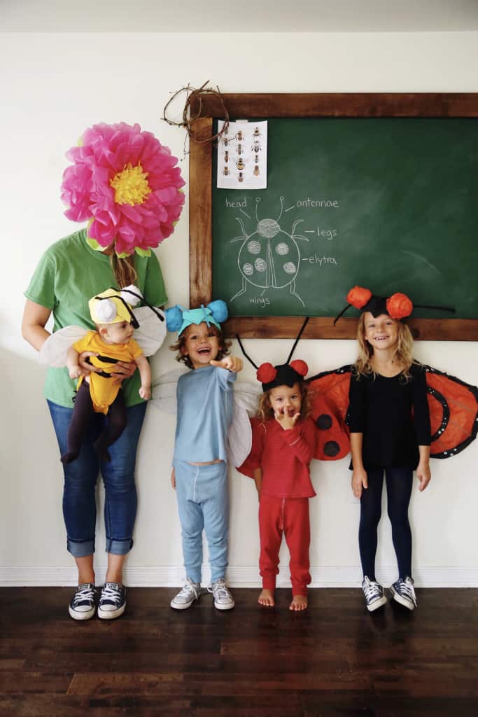 Bug Halloween Costumes! – Rit Dye