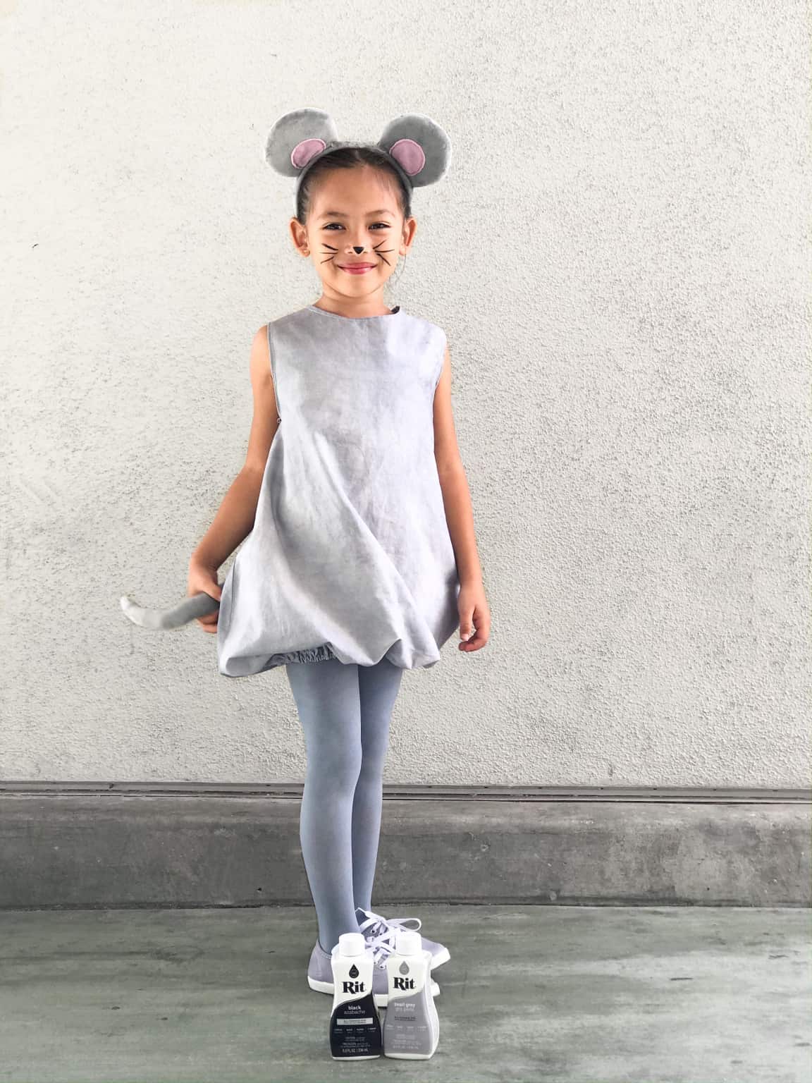 Little Grey Mouse Costume – Rit Dye