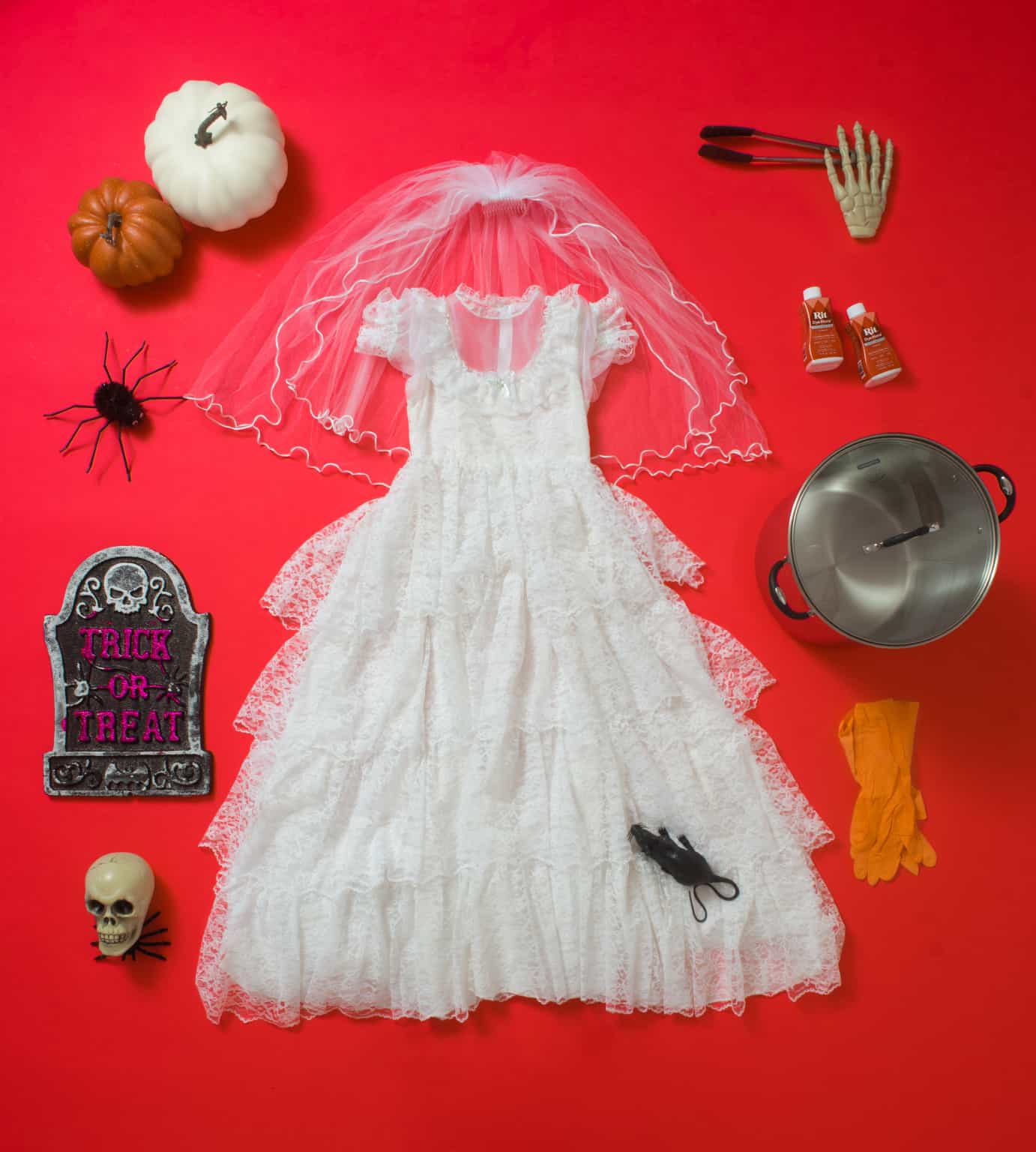 Gothic Bride Halloween Costume – Rit Dye